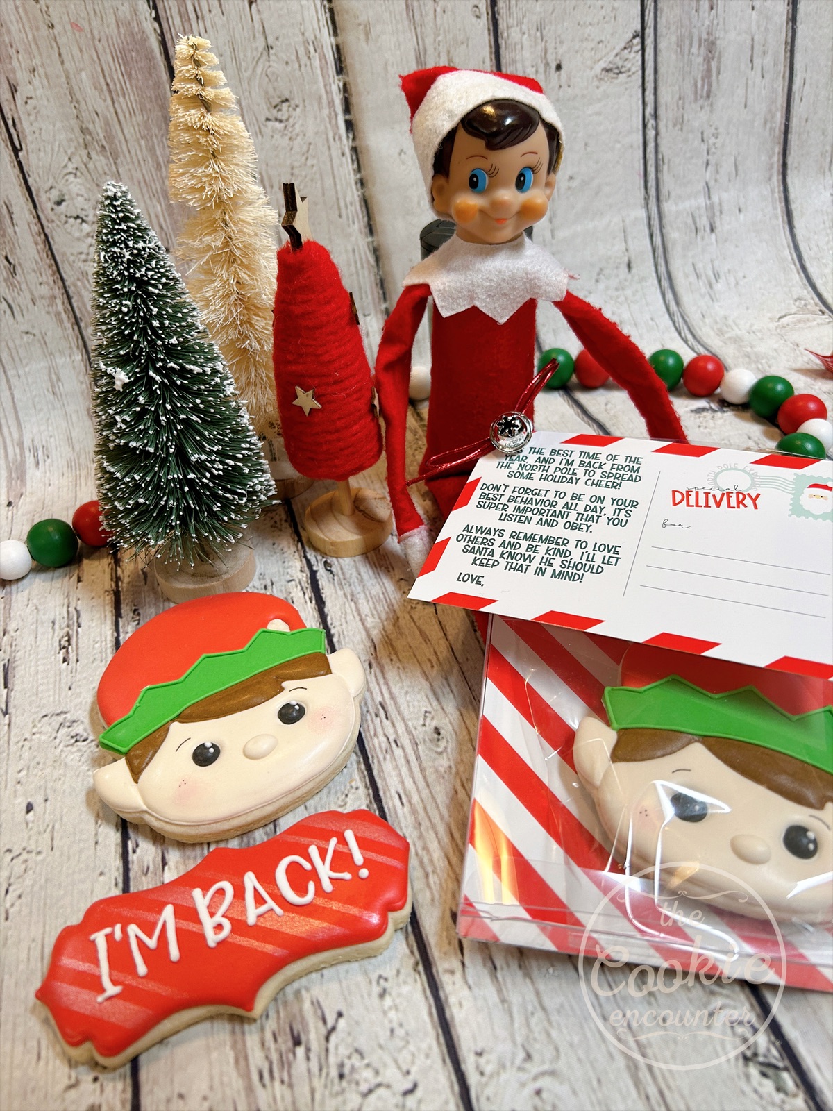 Elf Cookie (2 pack)